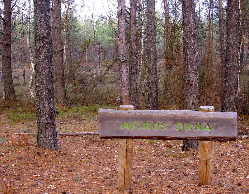 Meškos šikna (straipsnį jums duoda Pipedija, laisvoji durnysčių Wiki ...