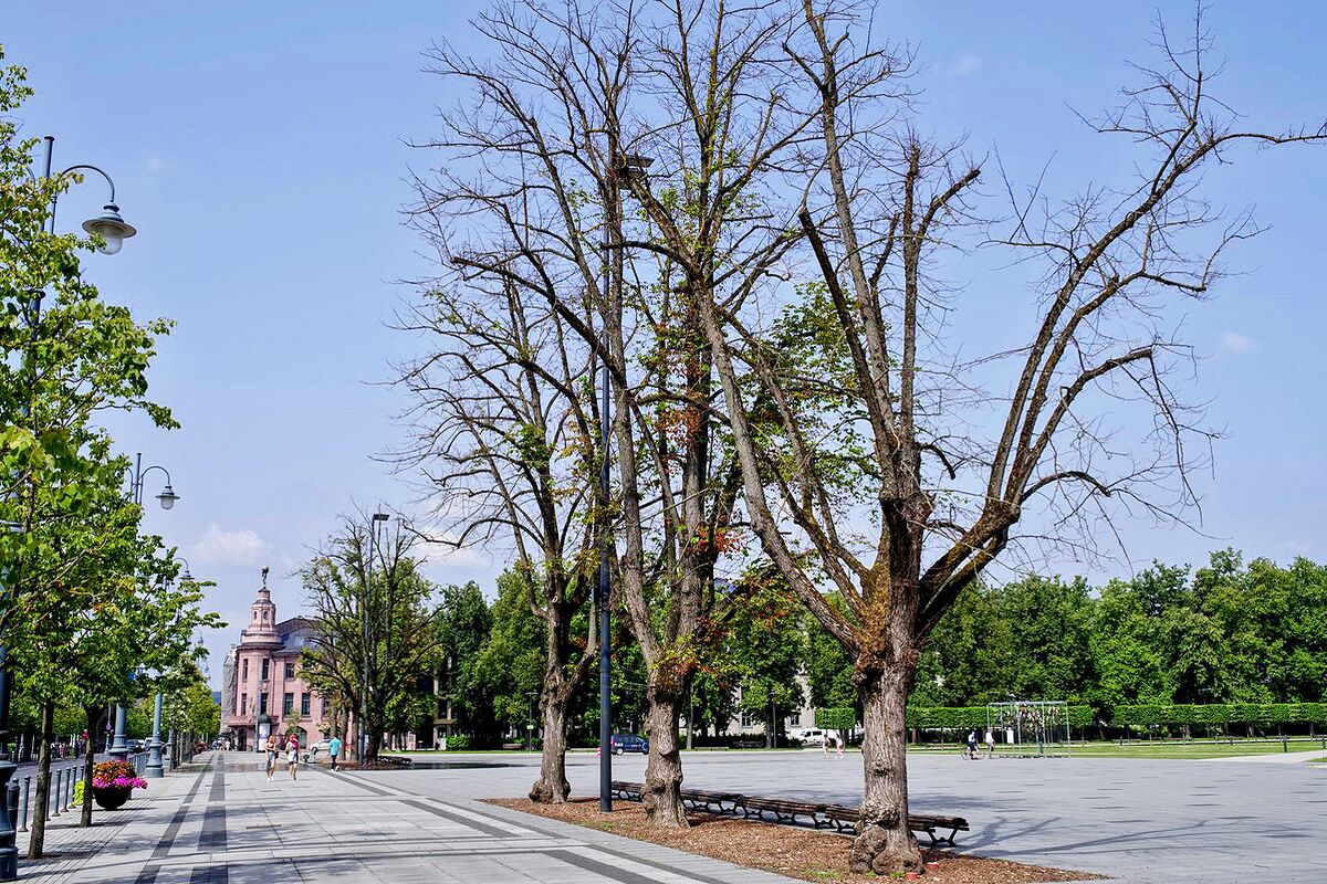 Žalioji banga (straipsnį jums duoda Pipedija, laisvoji durnysčių Wiki ...